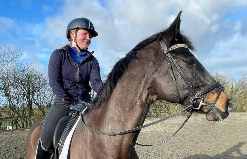 Level 2 Horse Care Apprenticeships at Cameron Kopsen blog